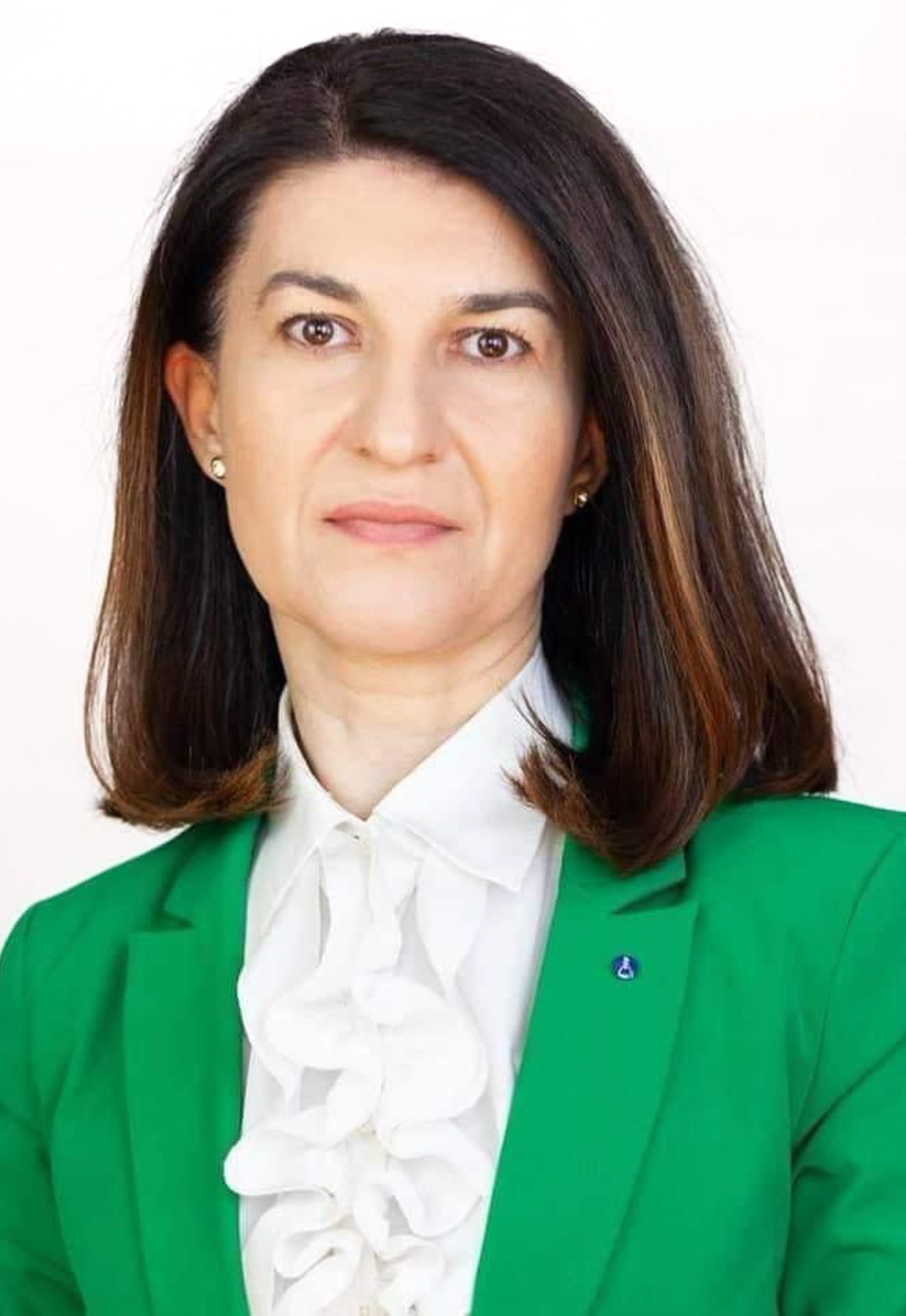 Comisii parlamentare Senatul României